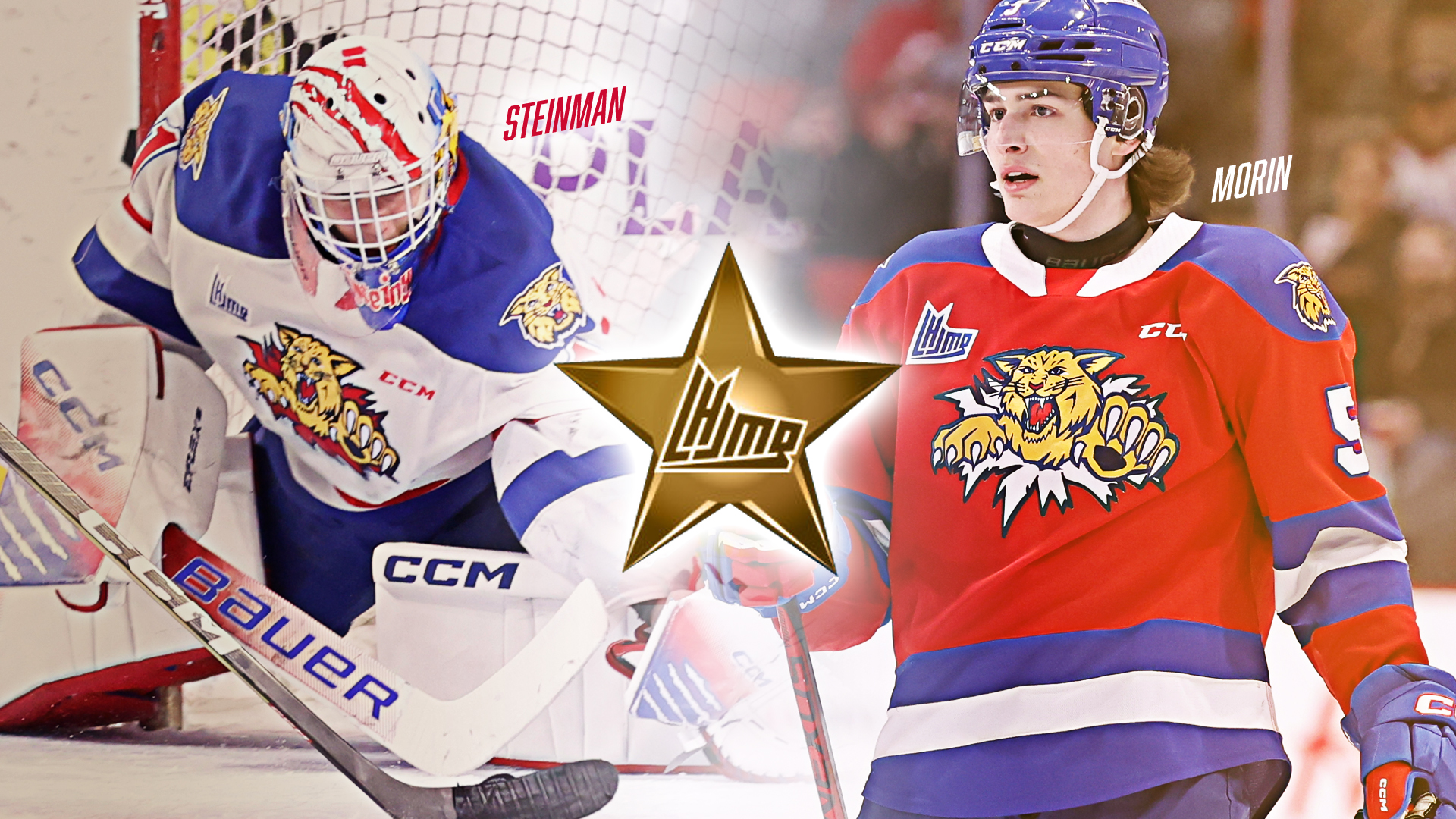 Steinman, Morin among 2023 Golden Puck Awards finalists - Moncton Wildcats