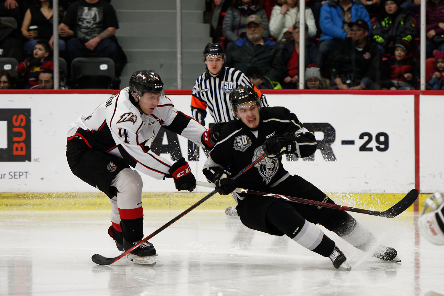 En images: Huskies/Olympiques 15 mars - Huskies de Rouyn-Noranda