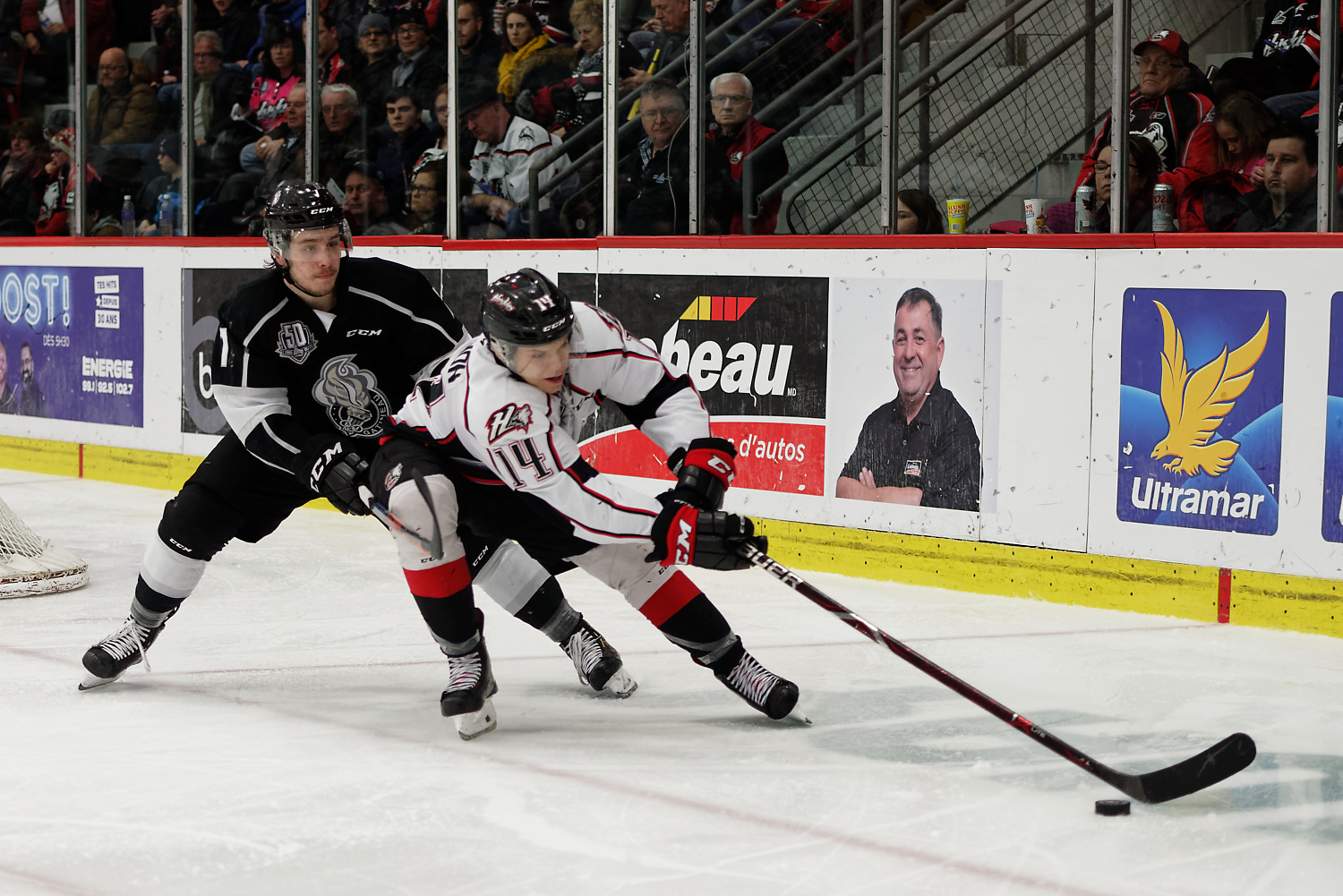 En images: Huskies/Olympiques 15 mars - Huskies de Rouyn-Noranda