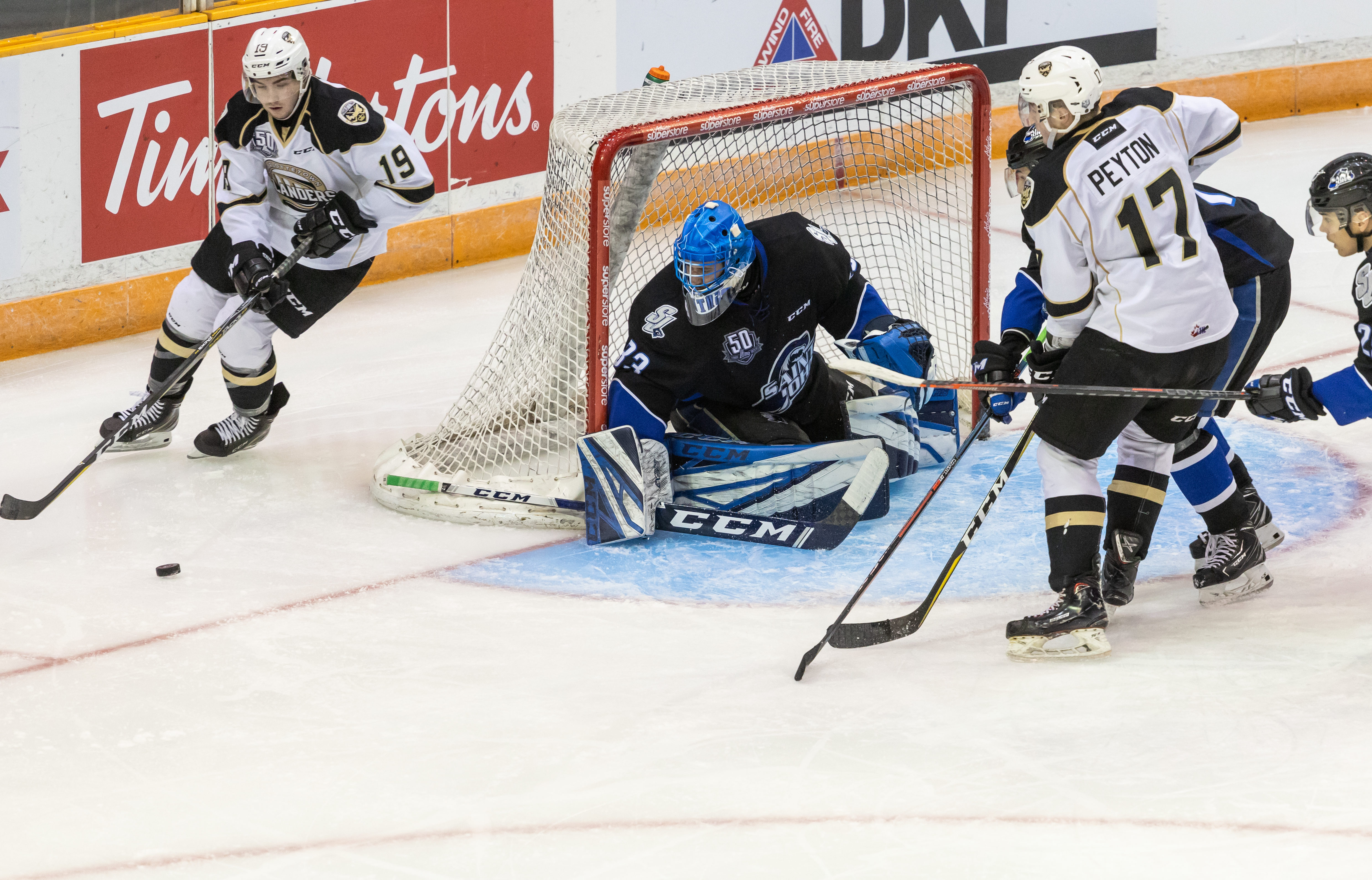 SEA DOGS STEAL A POINT WITH LATE GAME COMEBACK - Saint John Sea Dogs