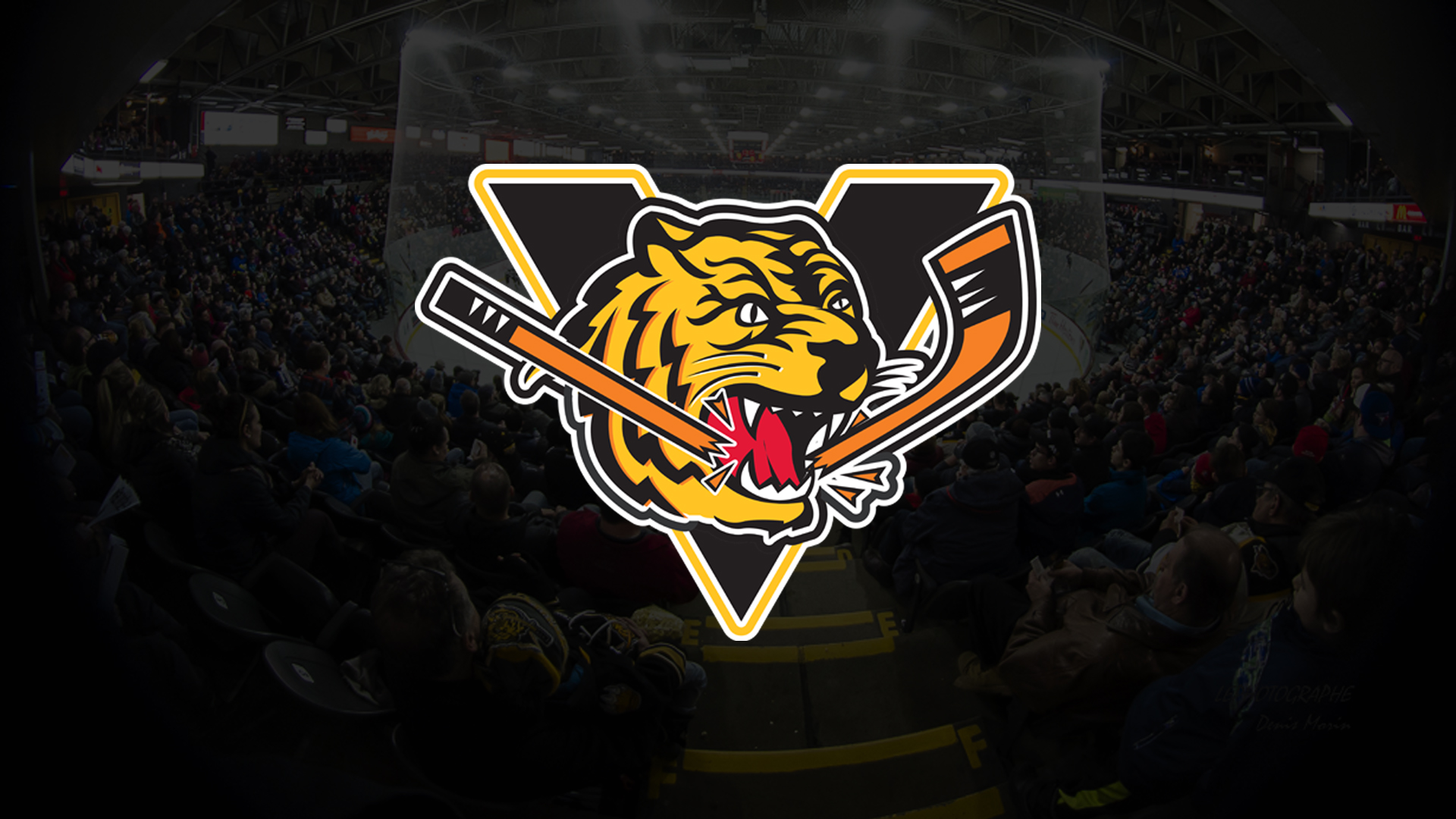 Olivier Pouliot terminera la saison à Victoriaville - Les Tigres de ...