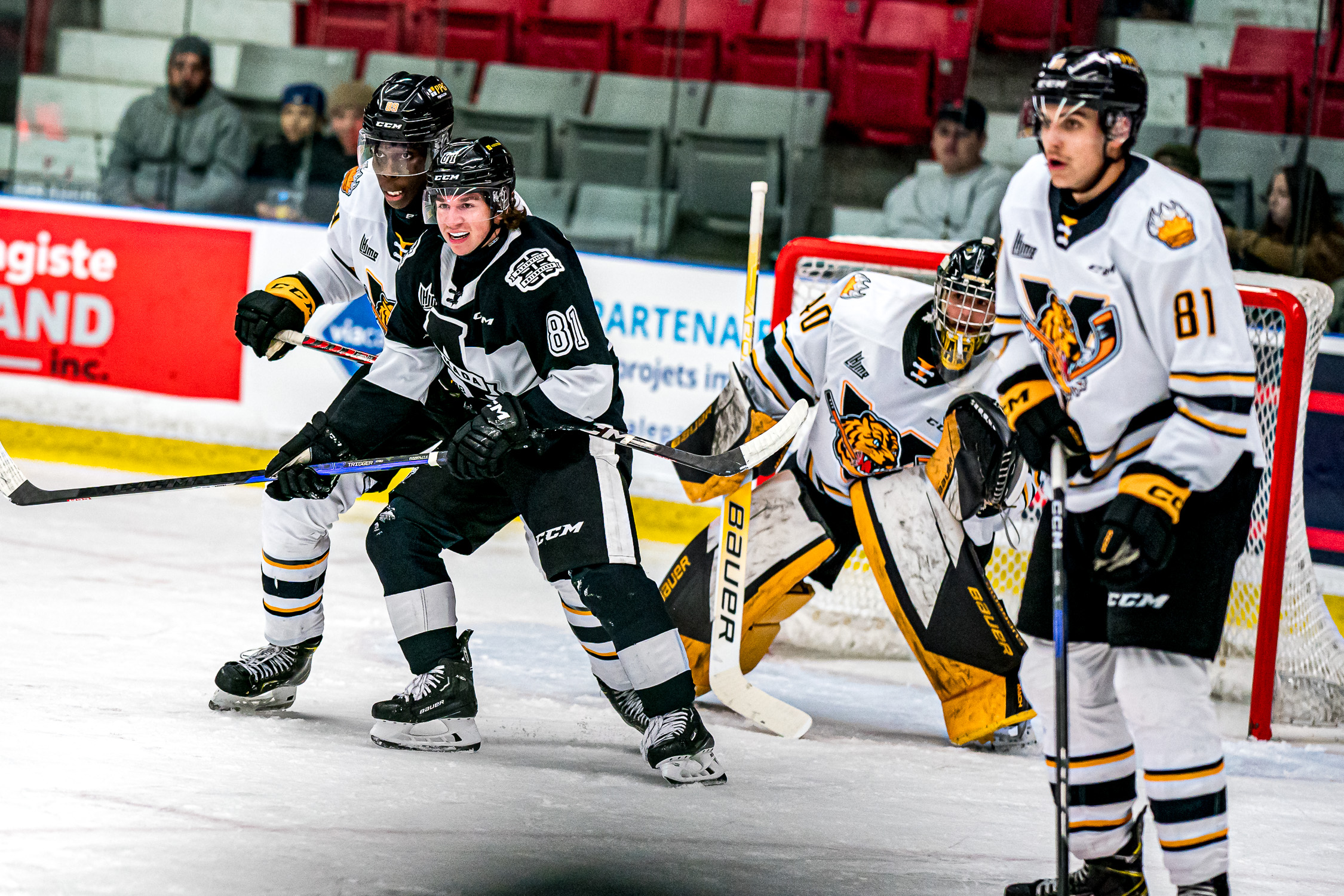 Les Tigres ont le dessus face à l'Armada ! - Les Tigres de Victoriaville