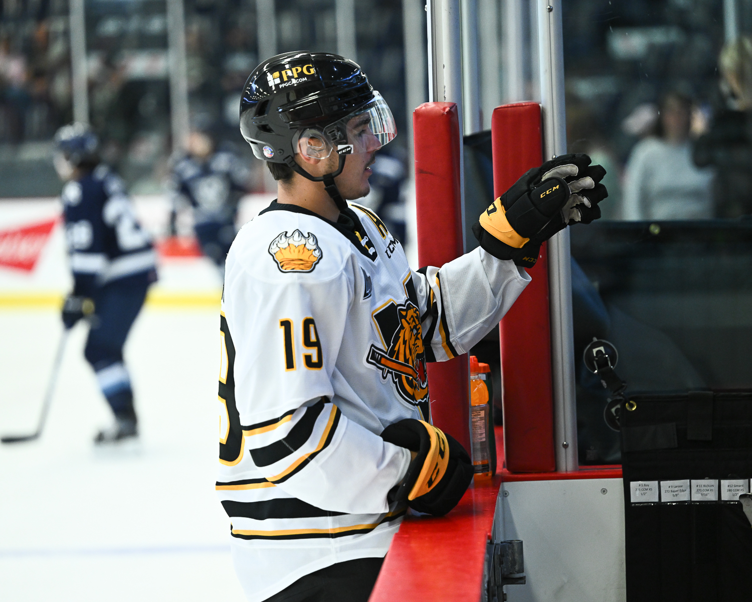 Absence à long terme pour Thomas Belgarde - Les Tigres de Victoriaville