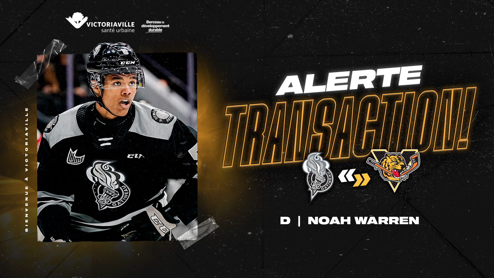 Noah Warren s'amène à Victoriaville ! - Les Tigres de Victoriaville